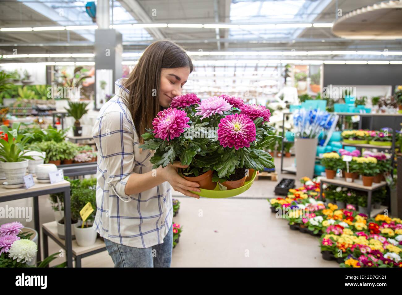 Beautiful young woman in a flower shop and choosing flowers. The ...