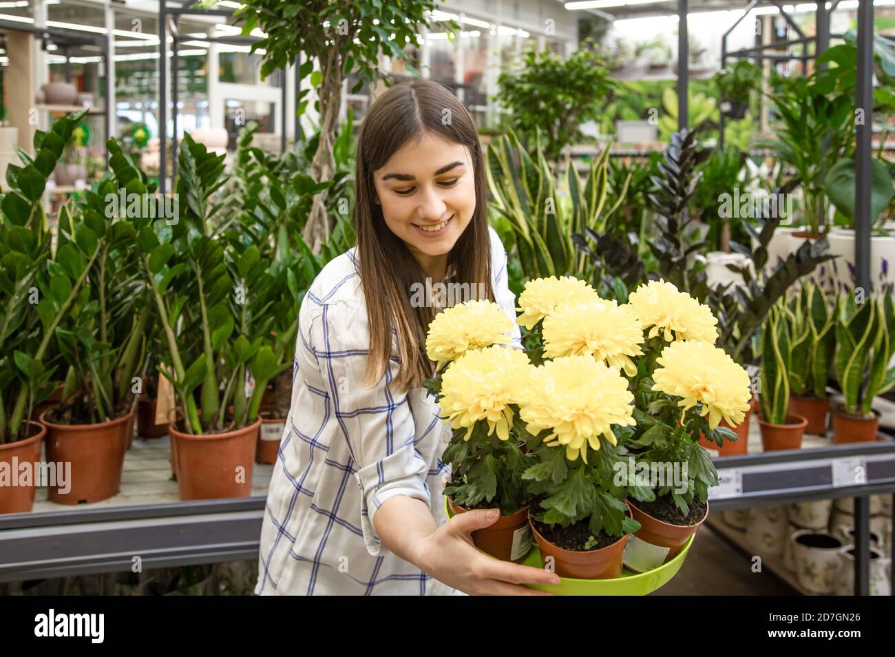Beautiful young woman in a flower shop and choosing flowers. The ...