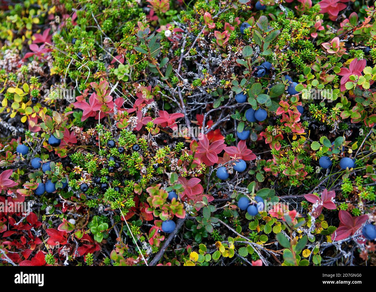 20201023 hi-res stock photography and images - Alamy