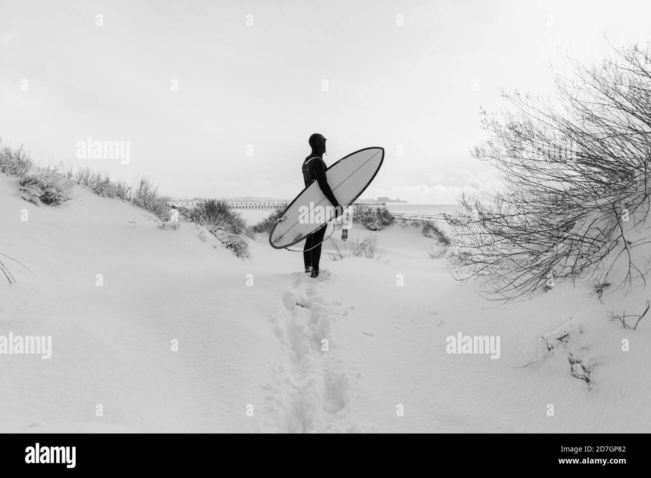 Surfboard Wetsuit High Resolution Stock Photography and Images - Alamy