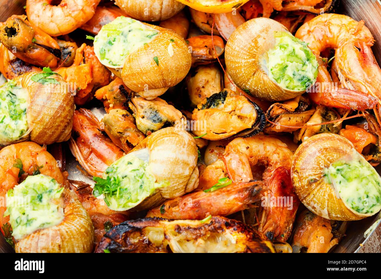 Snails sea food hi-res stock photography and images - Alamy