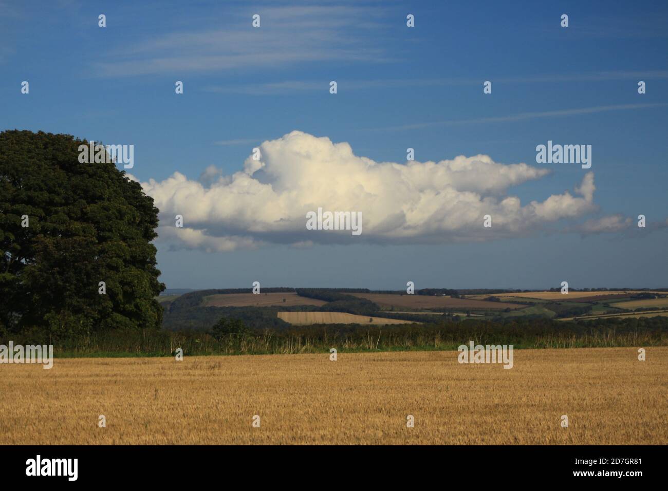 Yorkshire scenic hi-res stock photography and images - Alamy