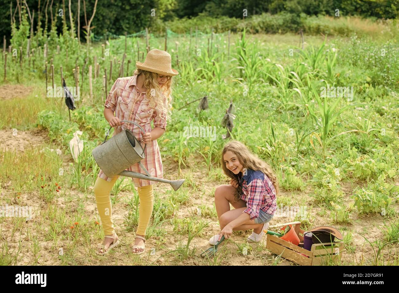 Girls planting plants. Agriculture concept. Growing vegetables ...