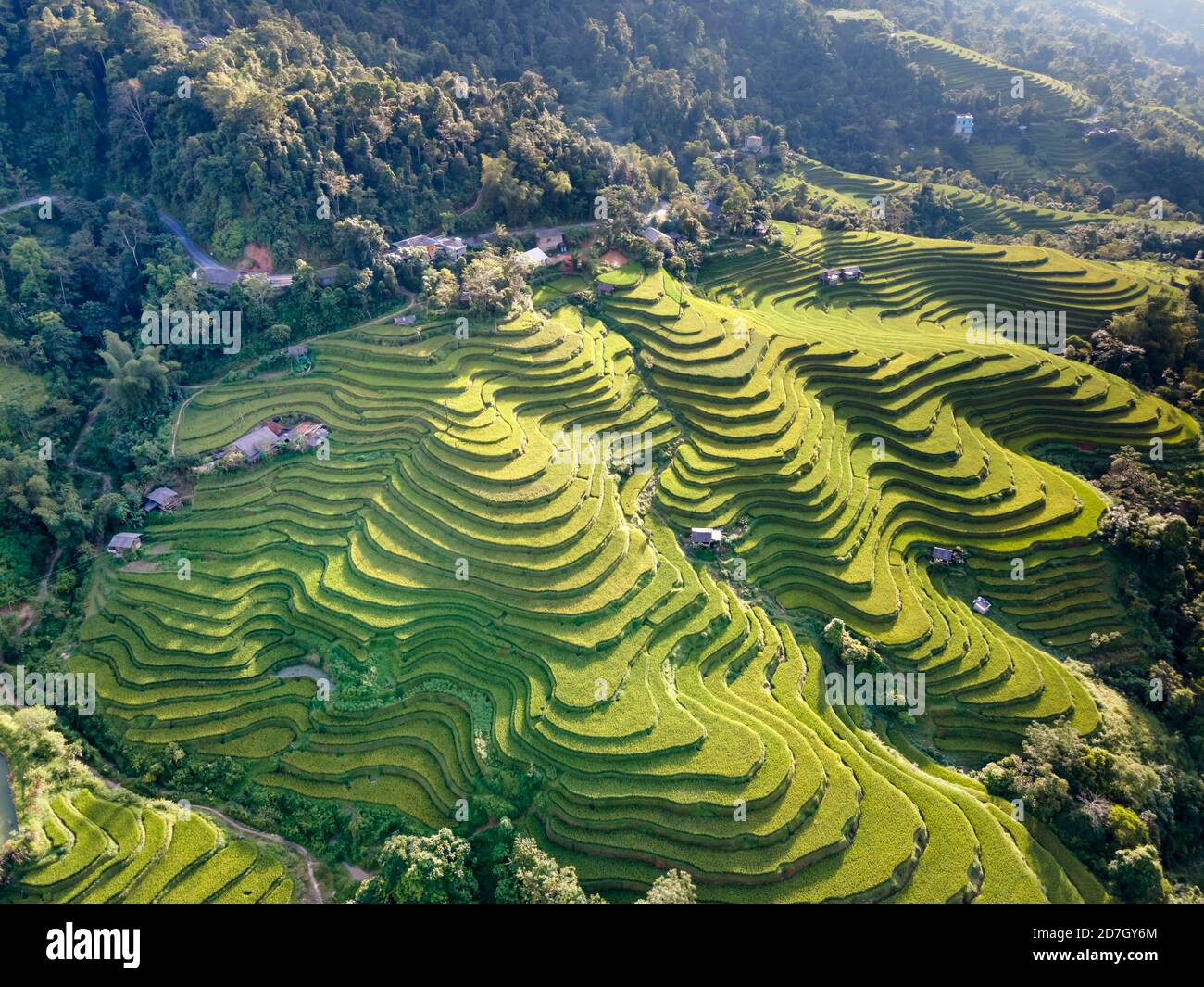 See The Stunning Scenery Of Rice Terraces During The Ripe Rice Season