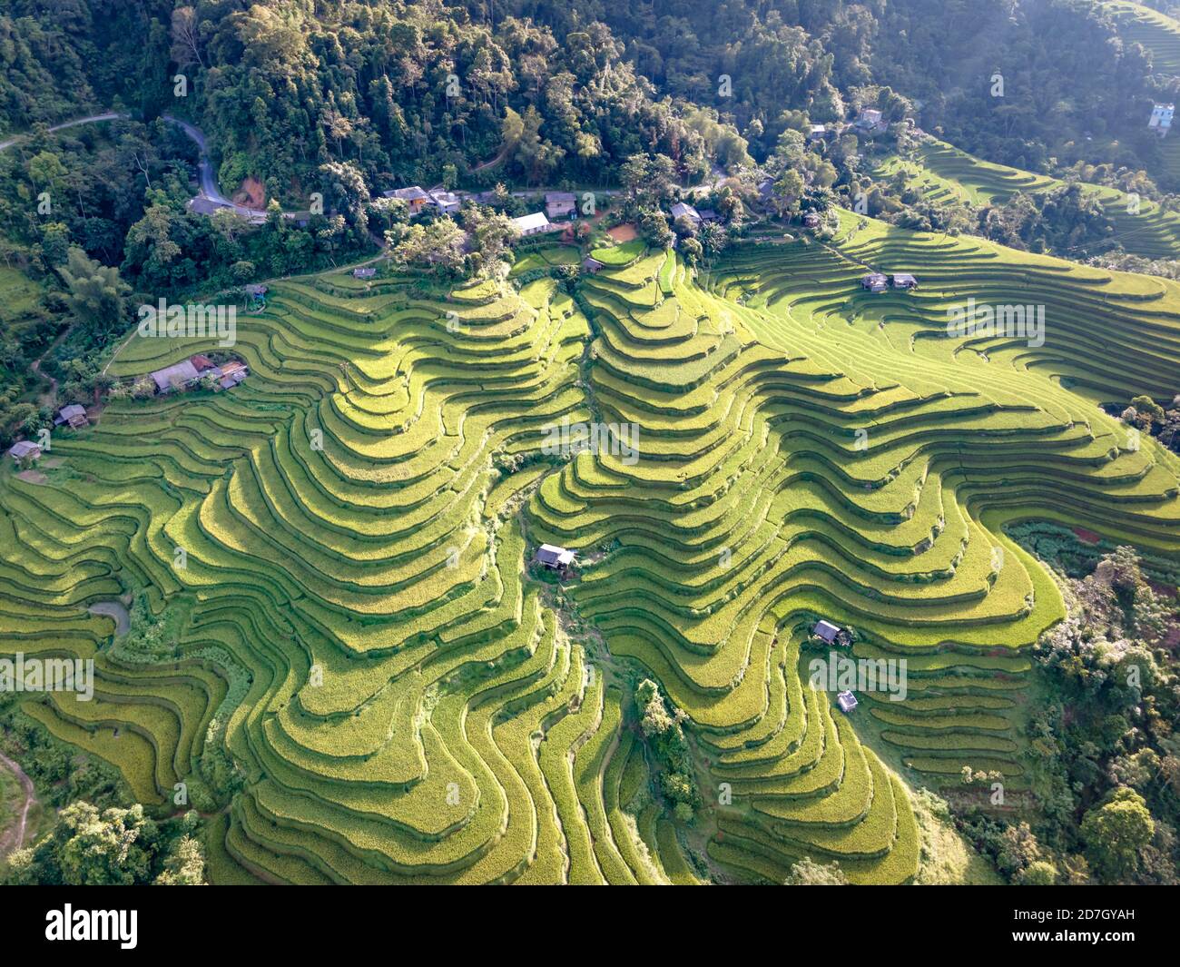 See the stunning scenery of rice terraces during the ripe rice season ...