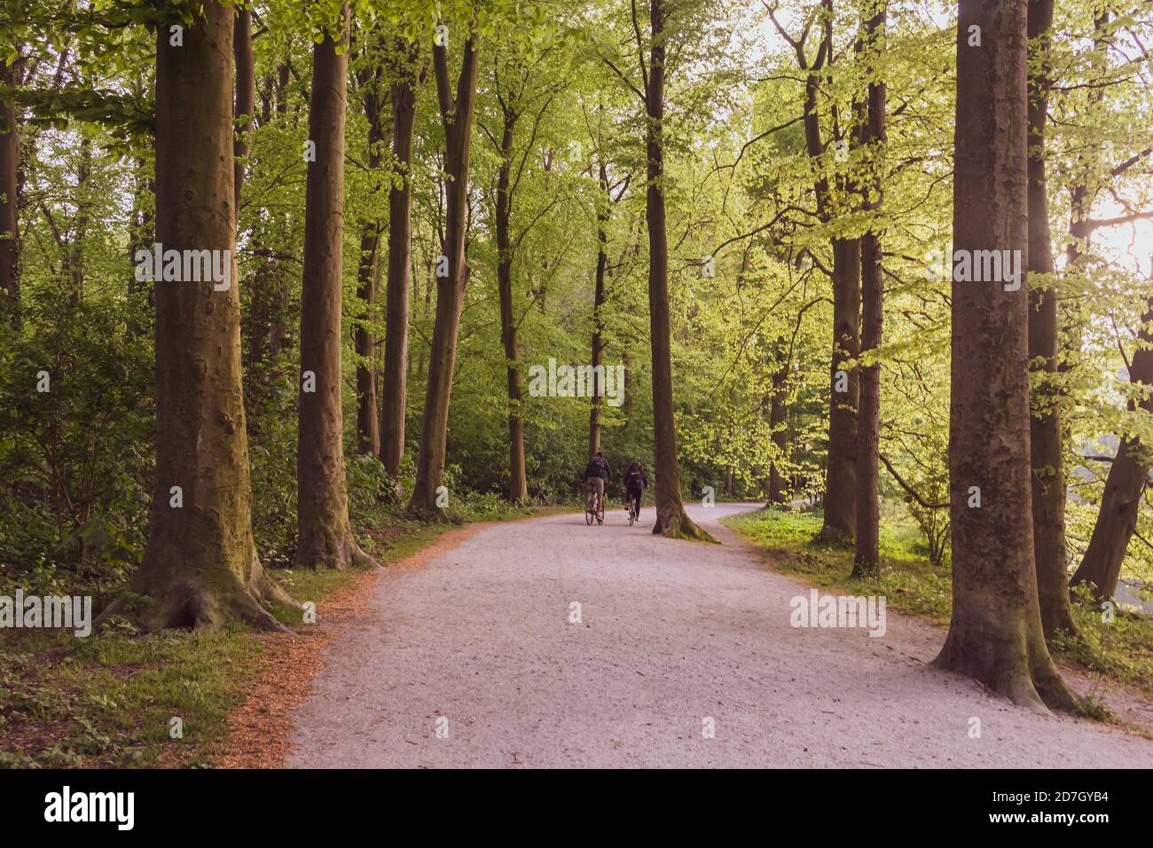 Night scene promenade between hi-res stock photography and images - Alamy