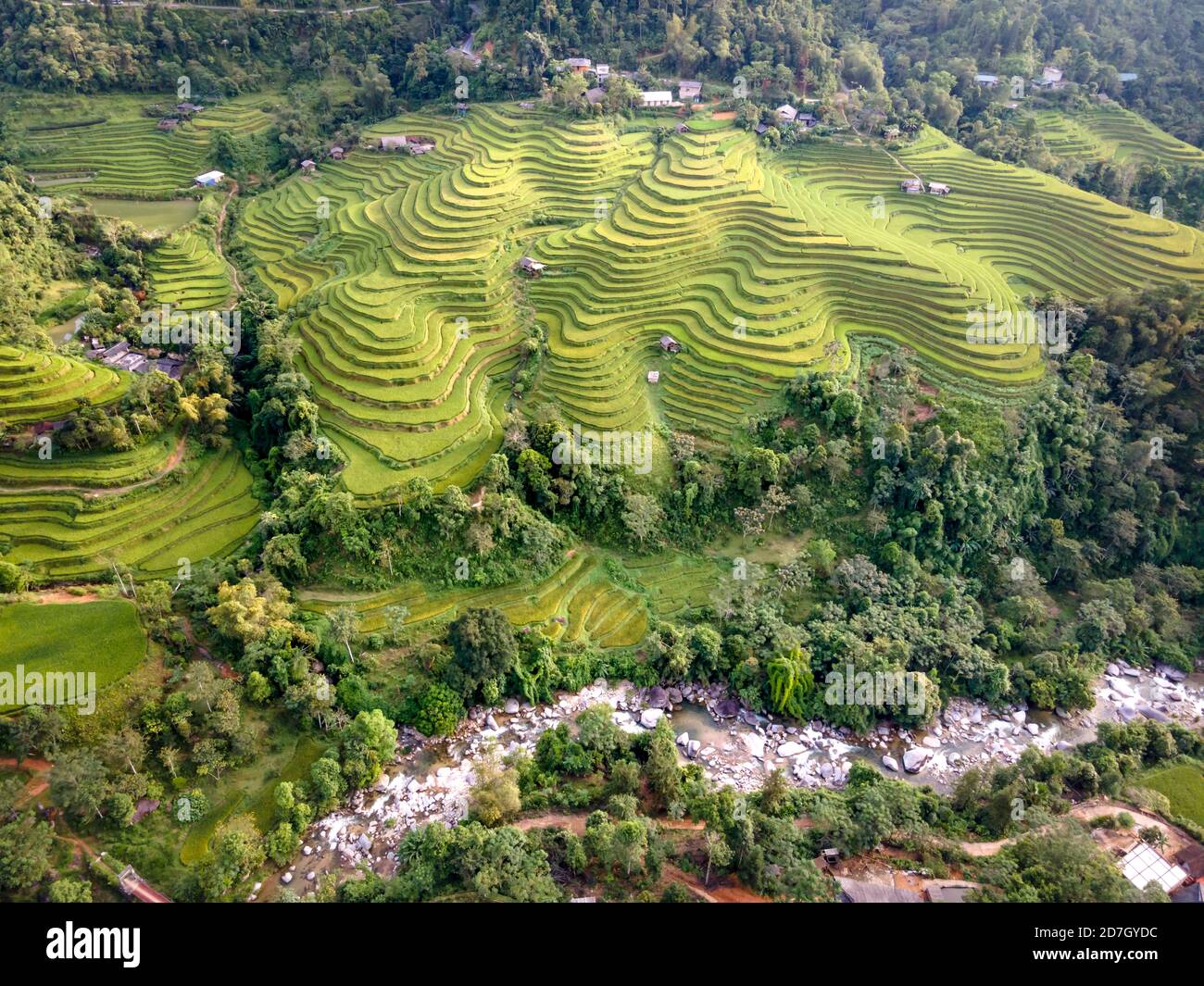 See The Stunning Scenery Of Rice Terraces During The Ripe Rice Season