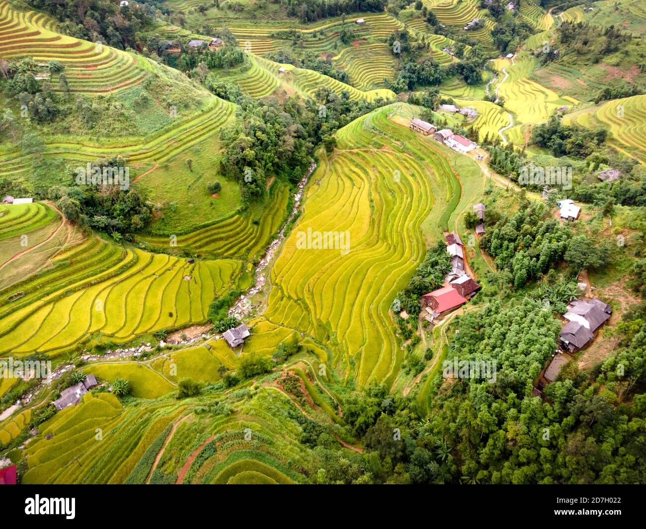 See The Stunning Scenery Of Rice Terraces During The Ripe Rice Season