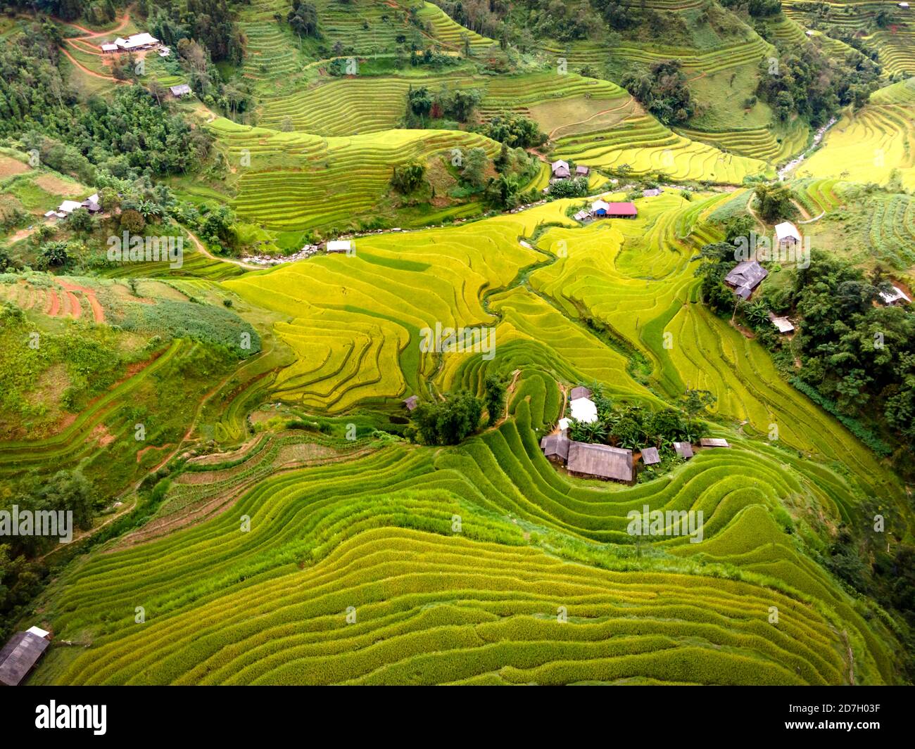 See the stunning scenery of rice terraces during the ripe rice season ...