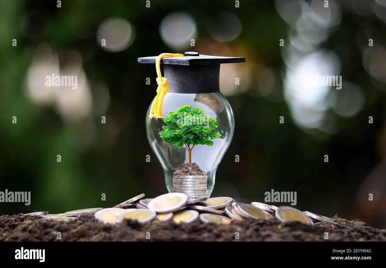 Graduation hats hi-res stock photography and images - Alamy