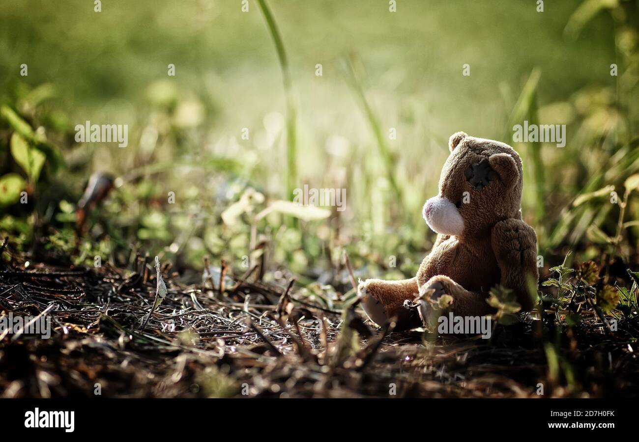 lost toy on the ground Stock Photo - Alamy