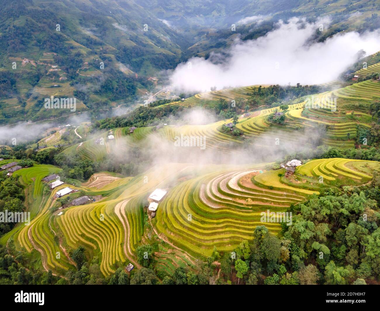 See The Beautiful Scenery Of The Rice Terraces During The Ripe Rice