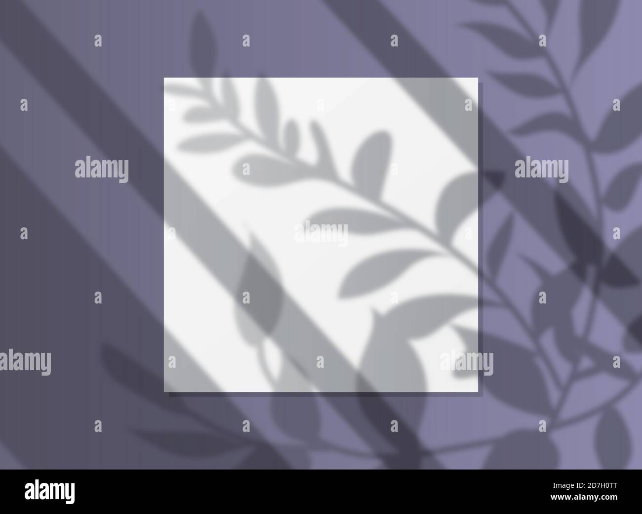 Realistic shadows overlays, natural lighting and shadow illustration ...