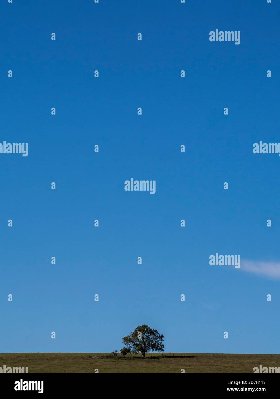 Distant tree hi-res stock photography and images - Alamy