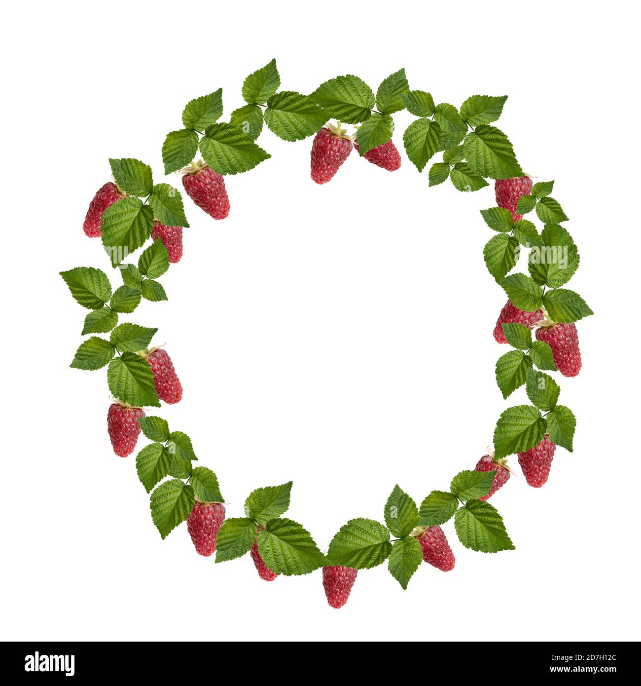 Wreath of berries and leaves of raspberries on a white background with ...