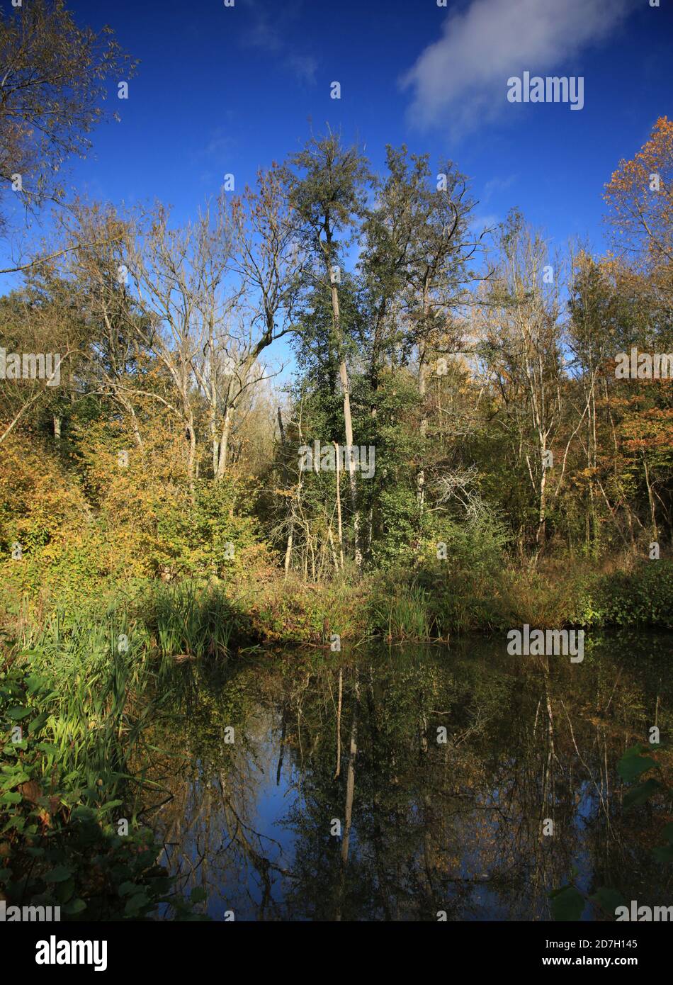 Chaddesley woods hi-res stock photography and images - Alamy
