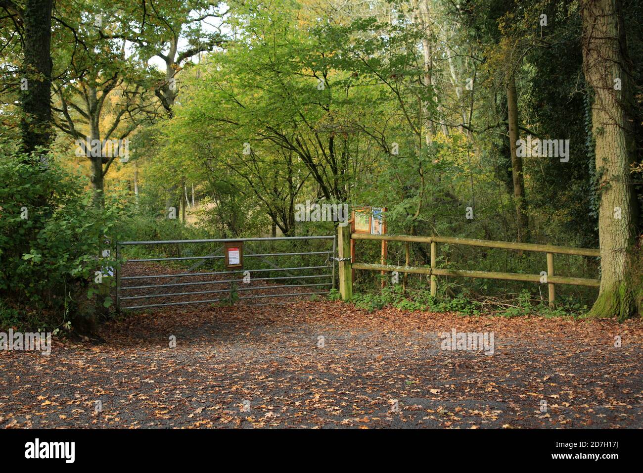Chaddesley woods hi-res stock photography and images - Alamy