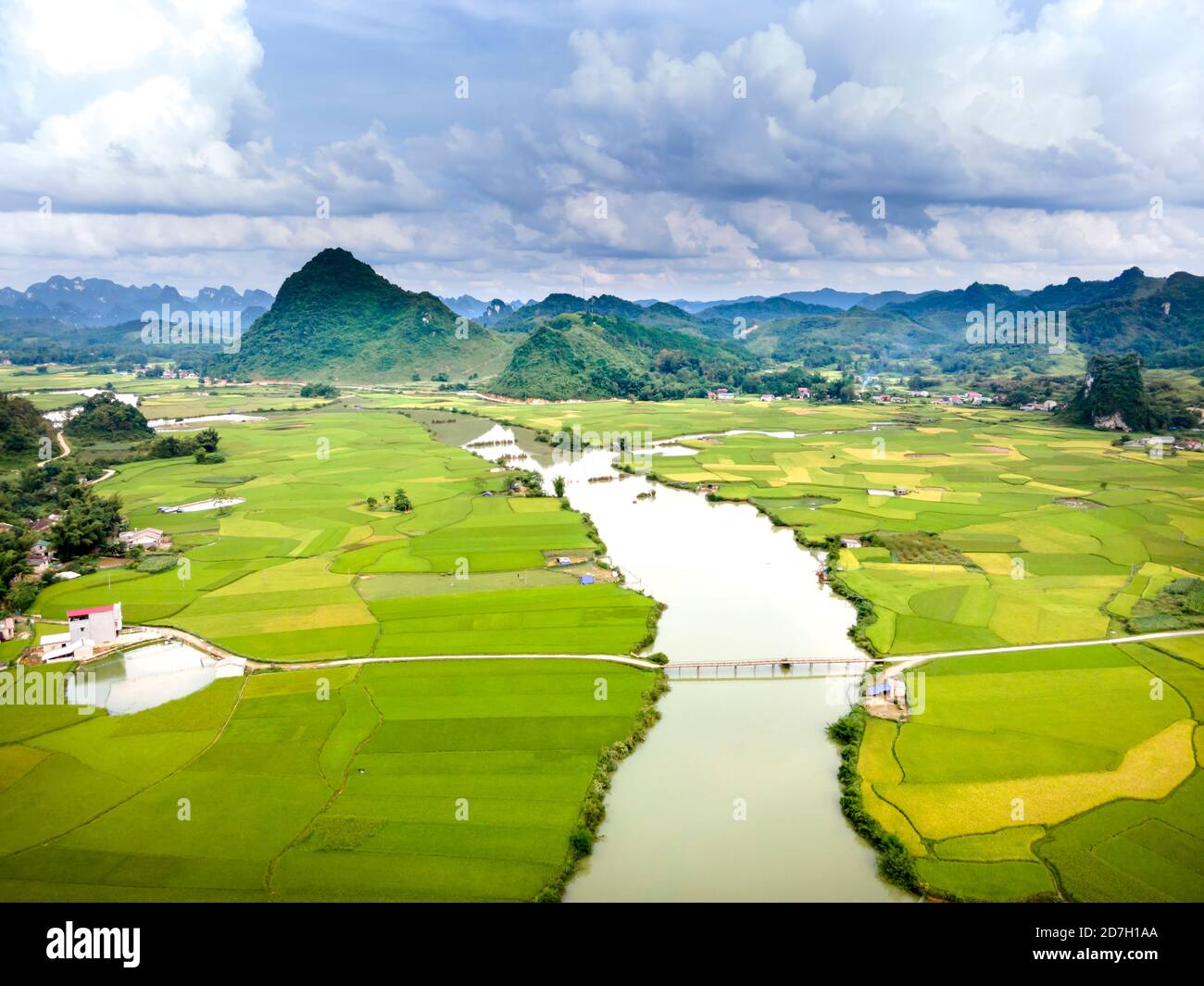 Rice and rice field at Phong Nam village in Trung Khanh, Cao Bang ...