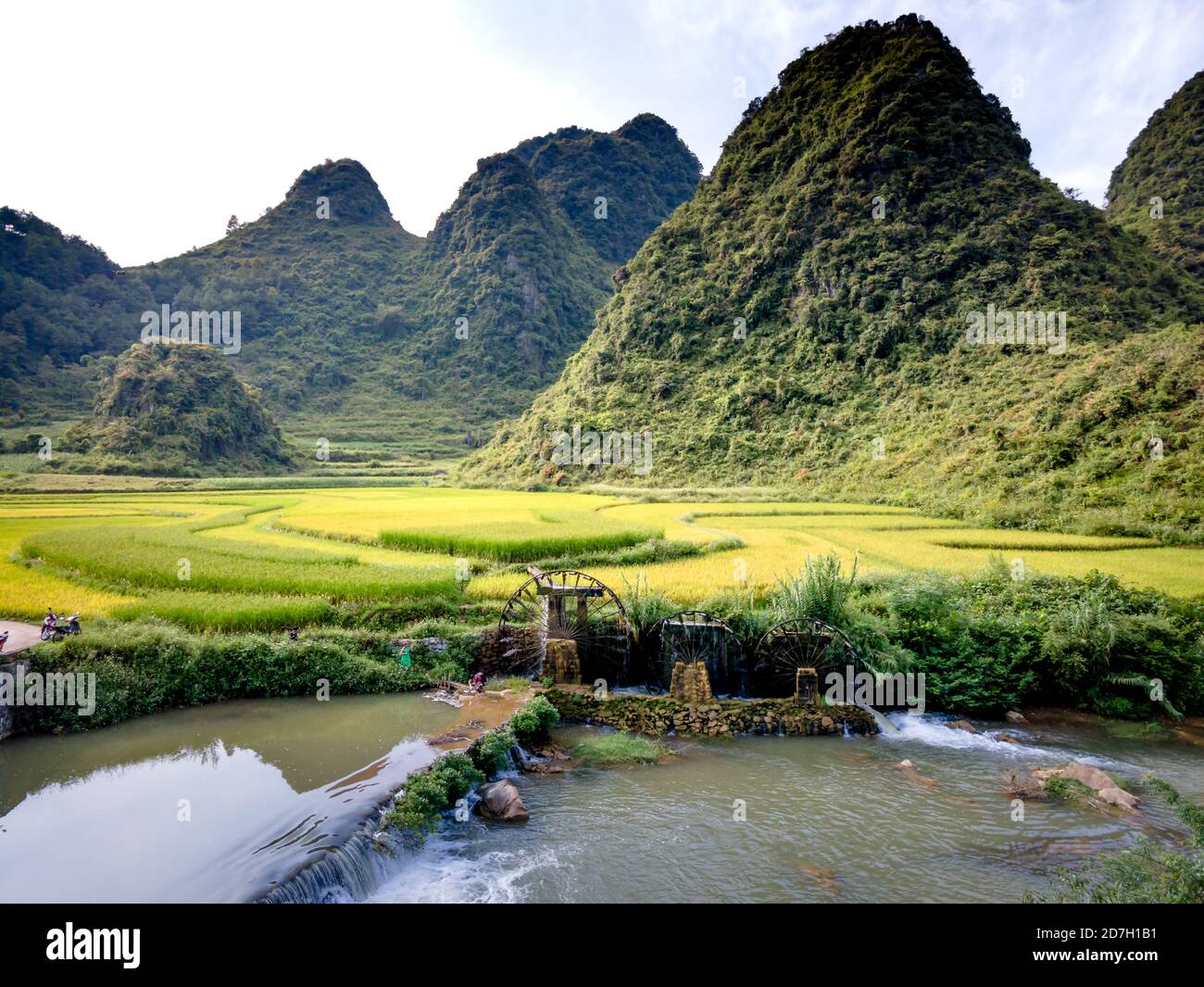 Rice and rice field at Phong Nam village in Trung Khanh, Cao Bang ...