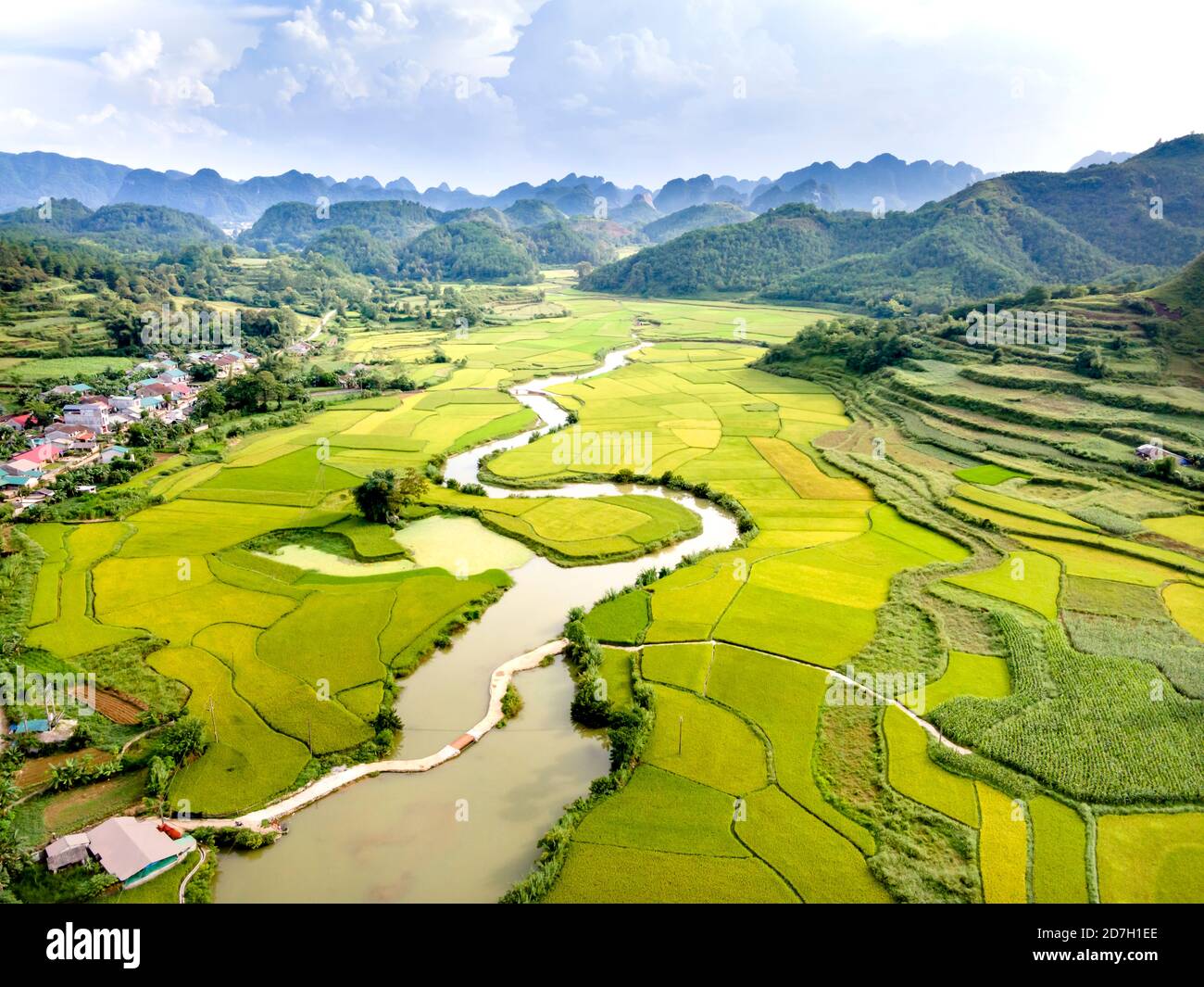 Rice and rice field at Phong Nam village in Trung Khanh, Cao Bang ...