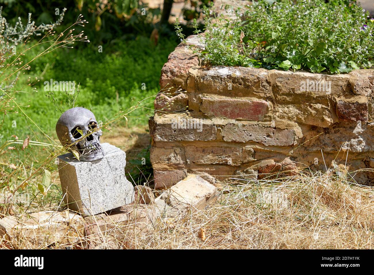 Crossbones Graveyard Southwark High Resolution Stock Photography and ...
