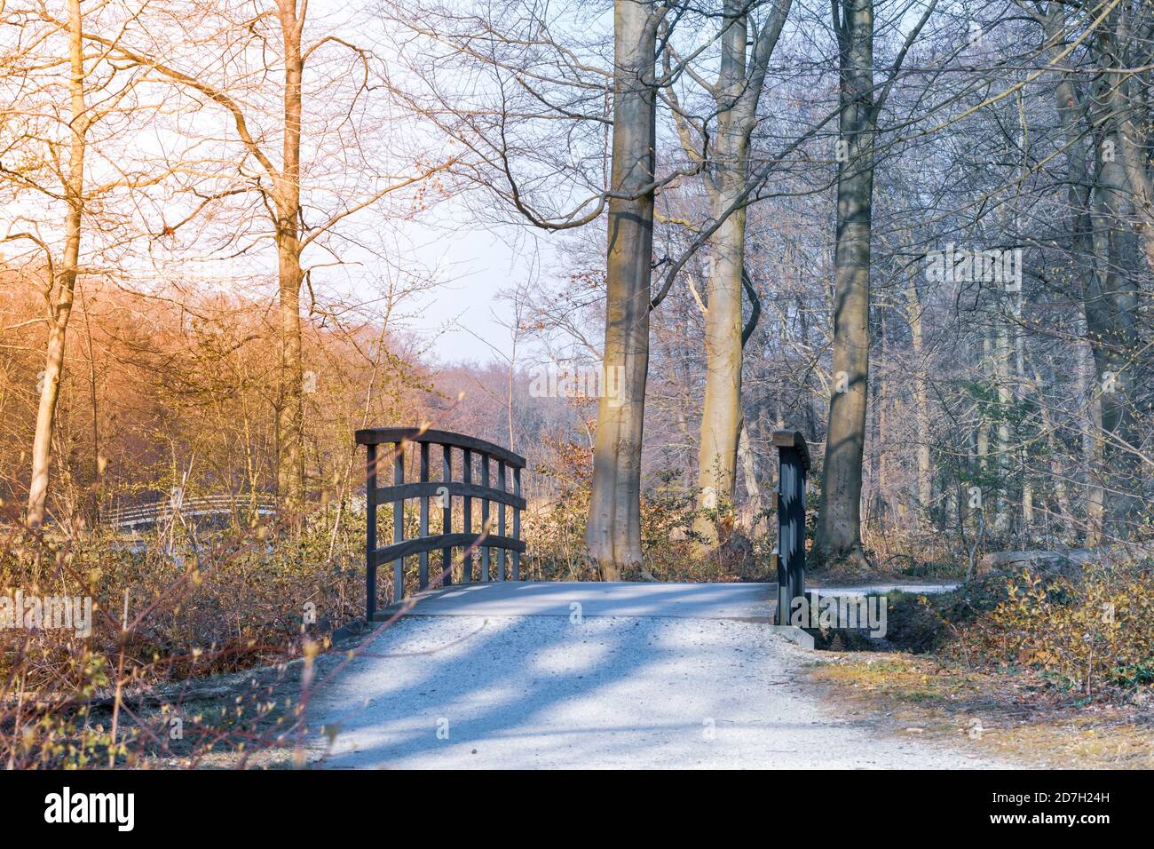 winter landscape of bridge on the canal with dried trees Stock Photo ...