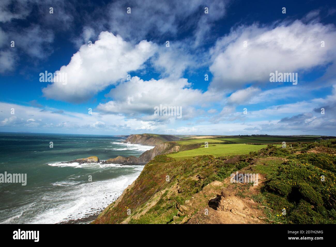 Cornish coastal scenery between Morwenstow and Mead, UK Stock Photo - Alamy