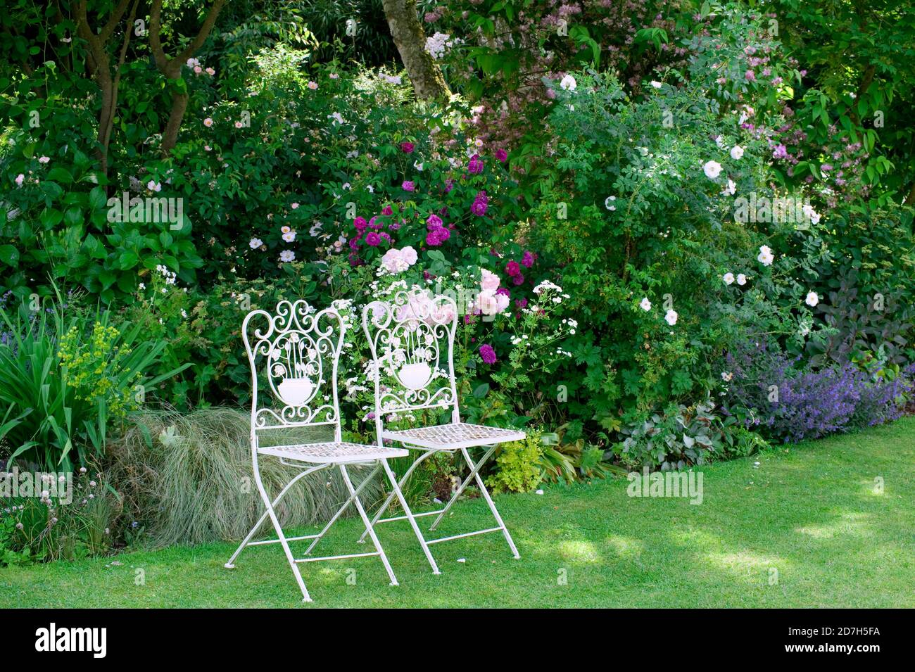 Rest area: chair and flower bed in spring. The Gardens of Angelique ...