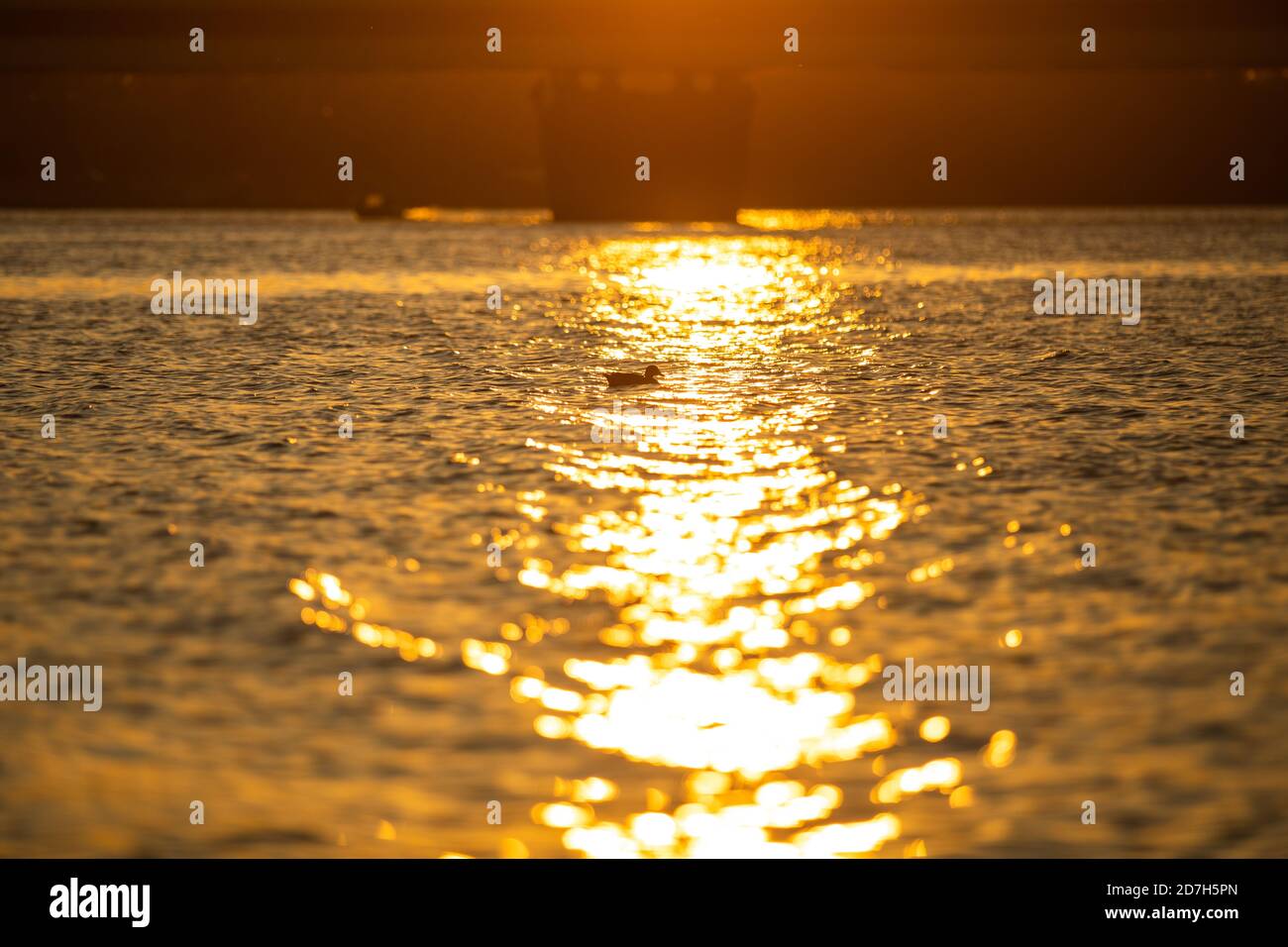 Riga sunset hi-res stock photography and images - Alamy