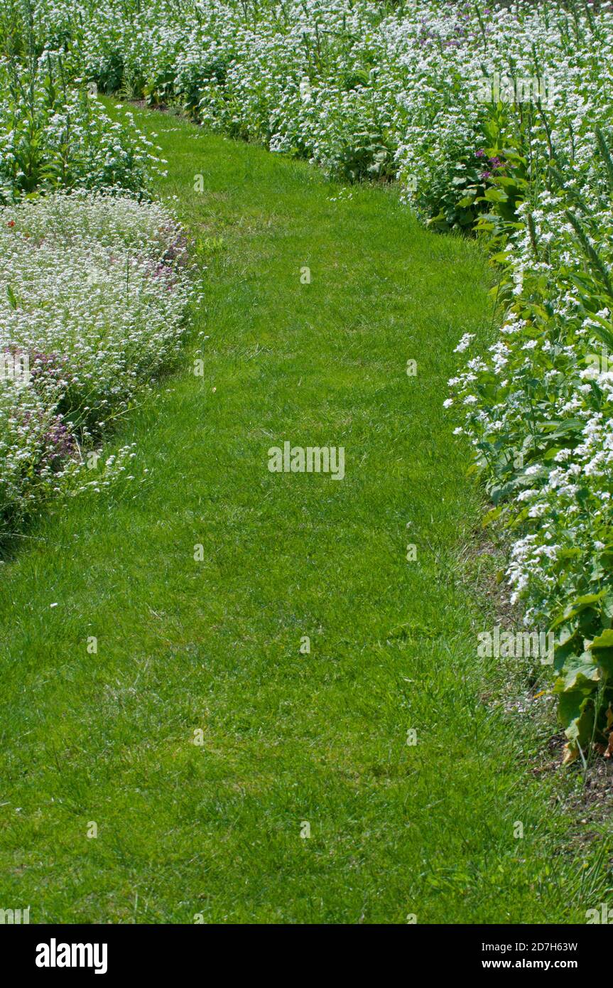 Grass path with flower border Stock Photo - Alamy