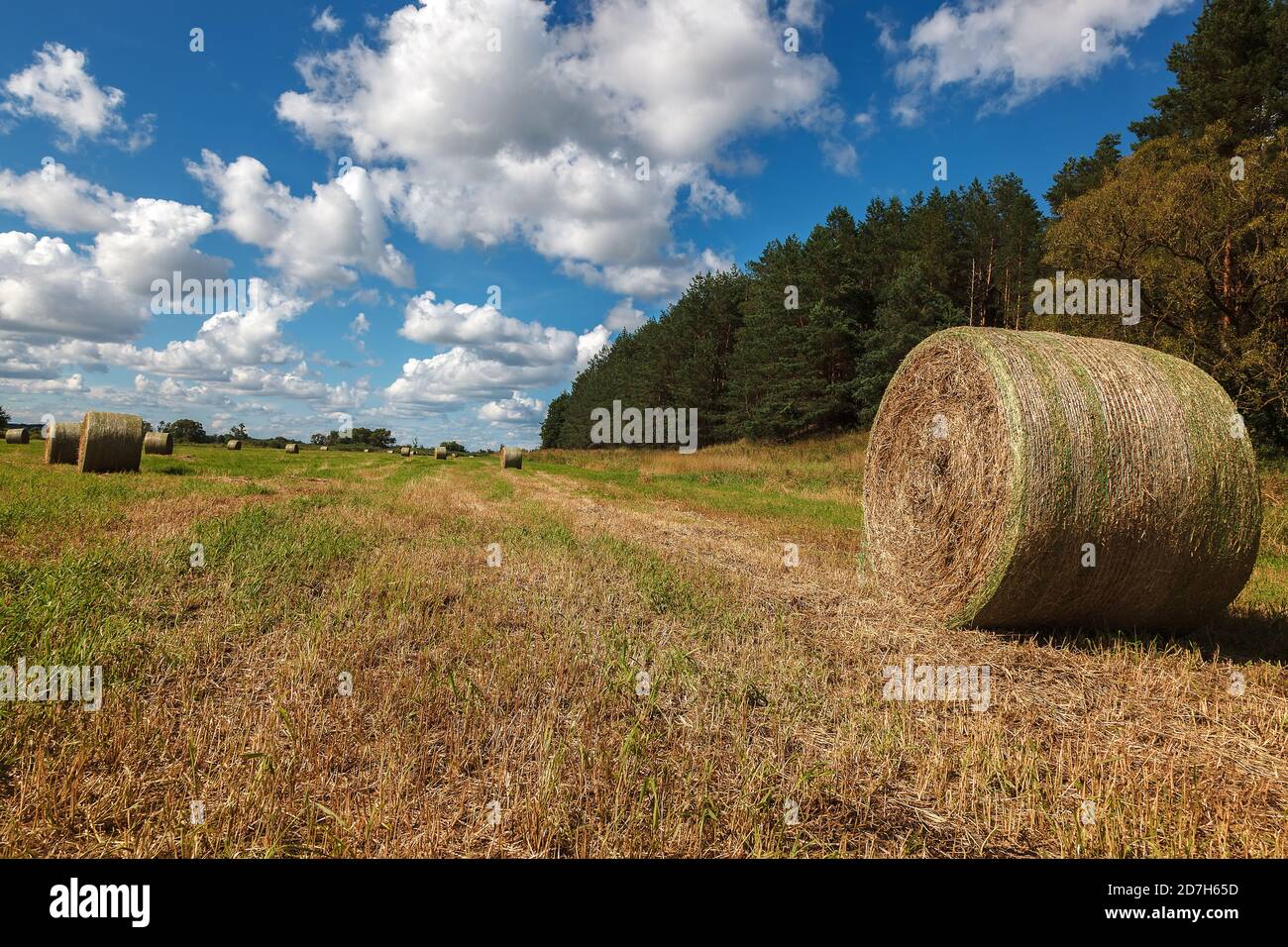 Hay Rollers High Resolution Stock Photography and Images - Alamy