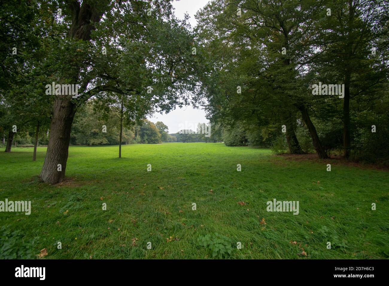 Bremen landscape hi-res stock photography and images - Alamy