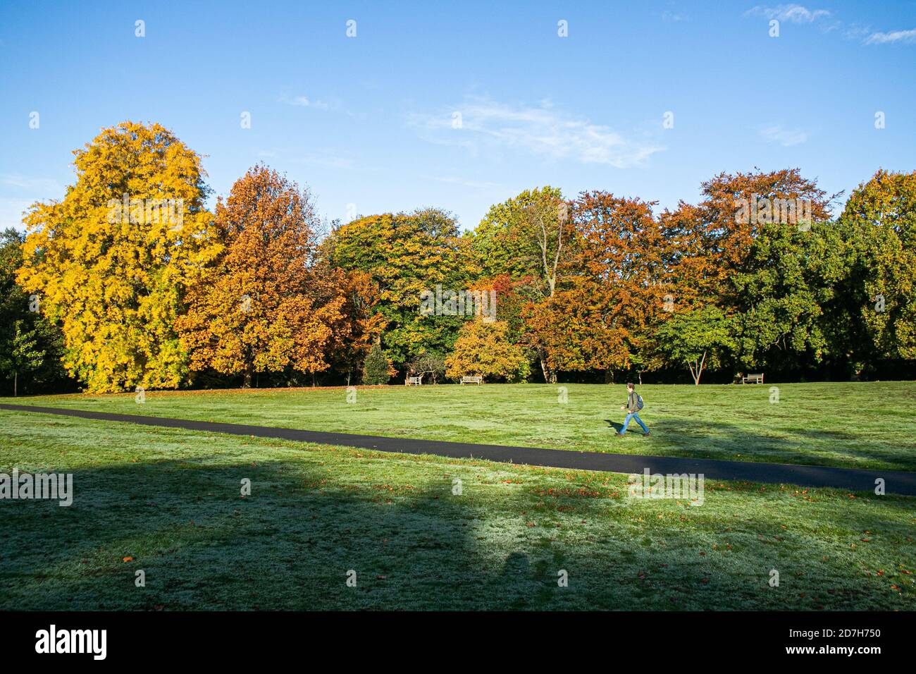 Wimbledon common landscape trees hi-res stock photography and images ...