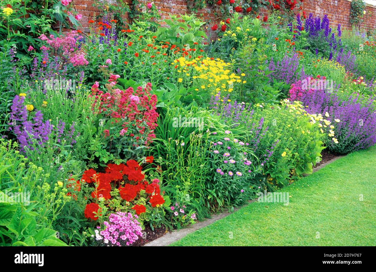 Perennial temperate herb hi-res stock photography and images - Alamy