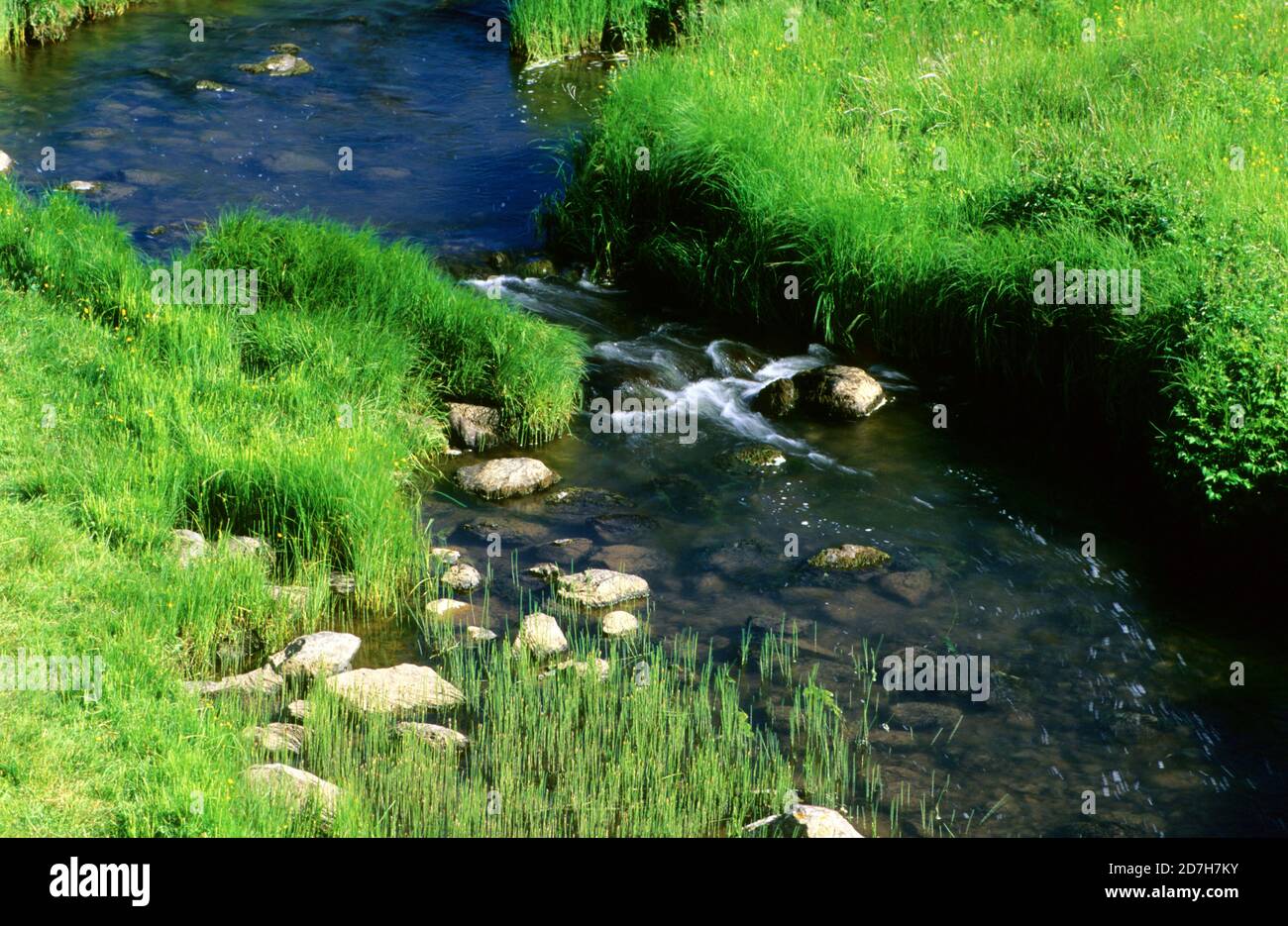 Stream in Aubrac, France Stock Photo - Alamy