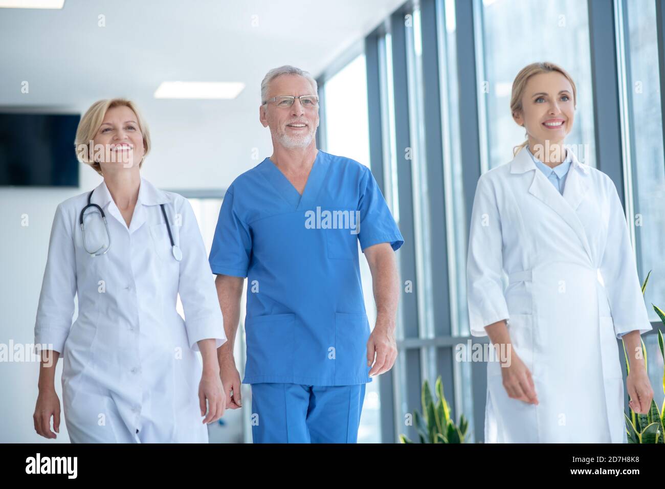 Group of smiling medical workers walking along hospital hallway Stock ...