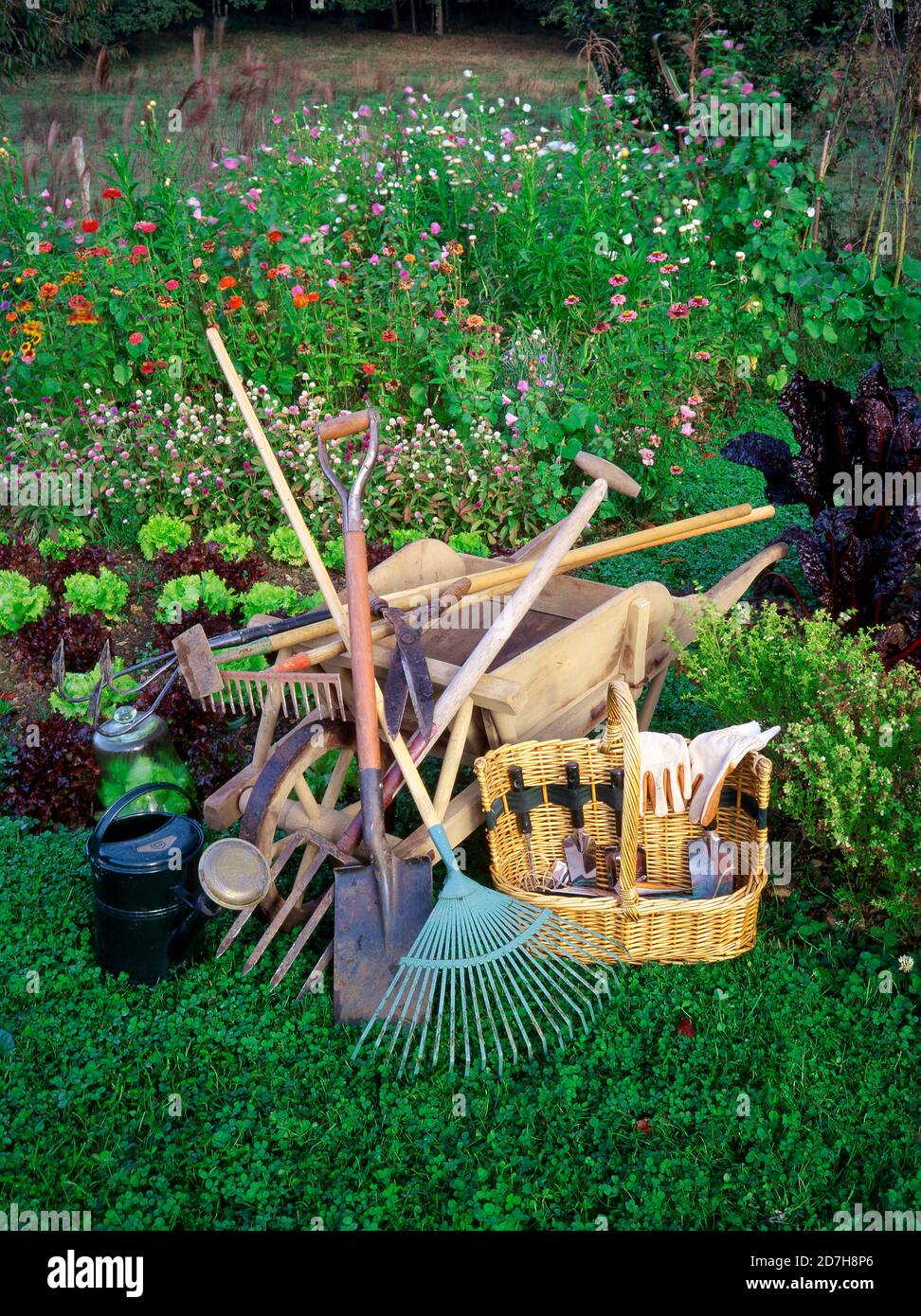 Garden tools in a vegetable garden Stock Photo - Alamy