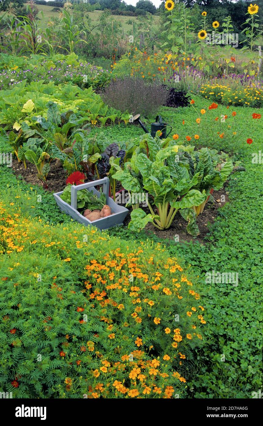 Organic flower garden Stock Photo - Alamy
