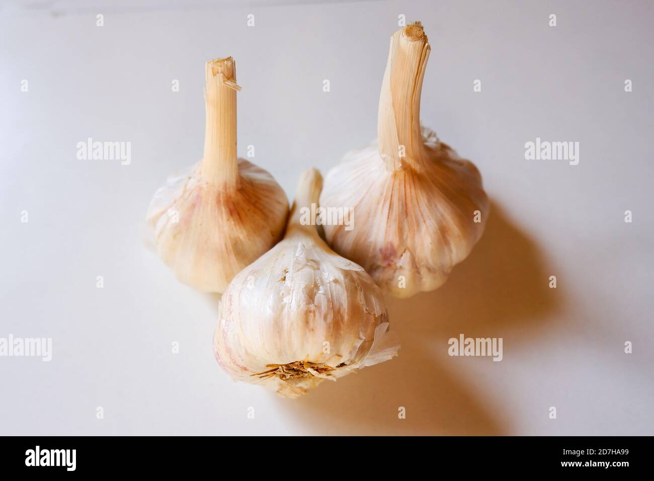 Garlic clove isolated top view hi-res stock photography and images - Alamy