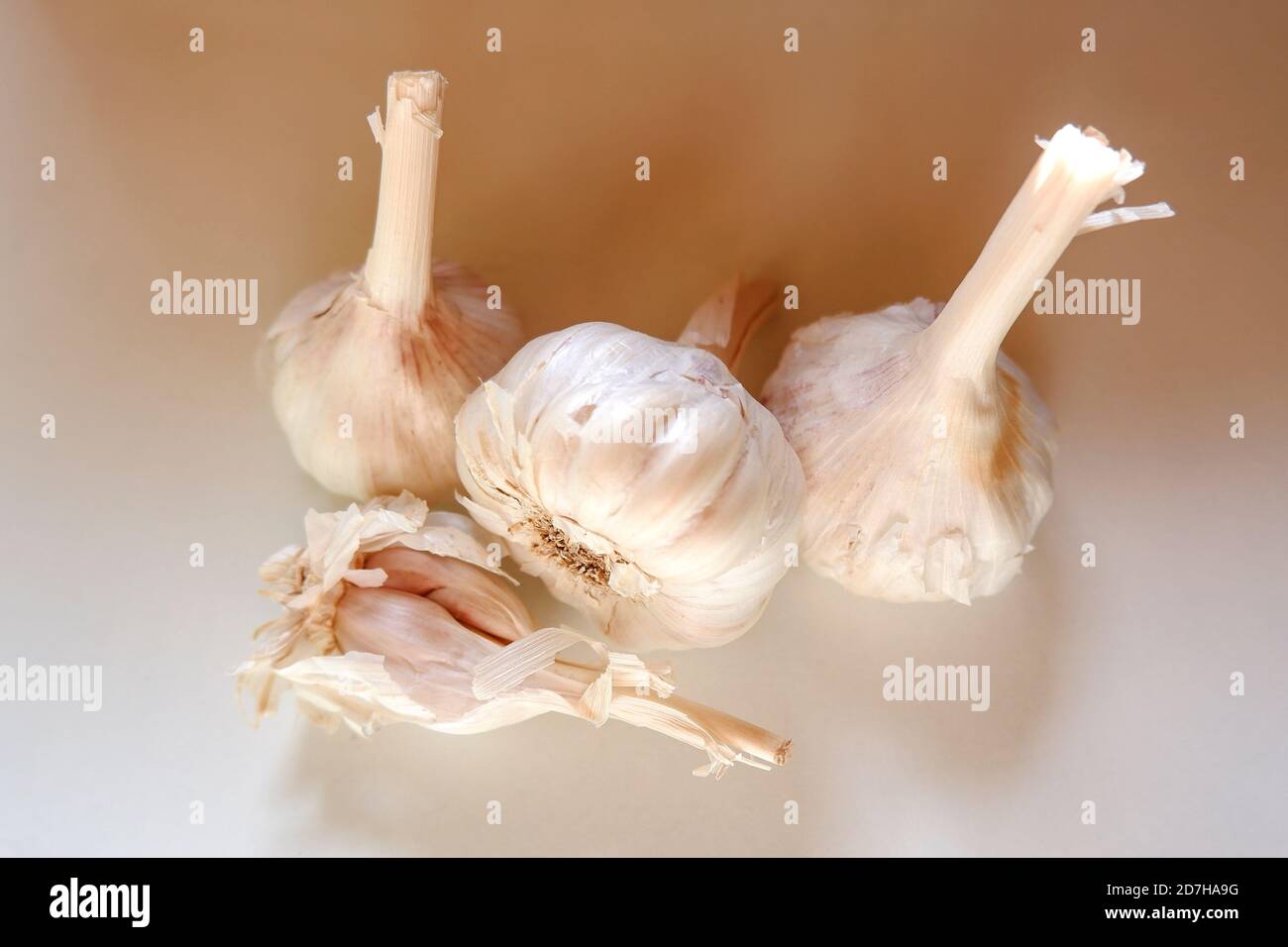 Garlic clove isolated top view hi-res stock photography and images - Alamy