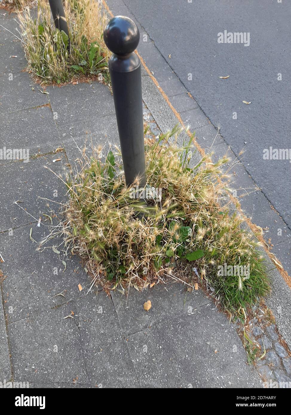 Barley piles hi-res stock photography and images - Alamy