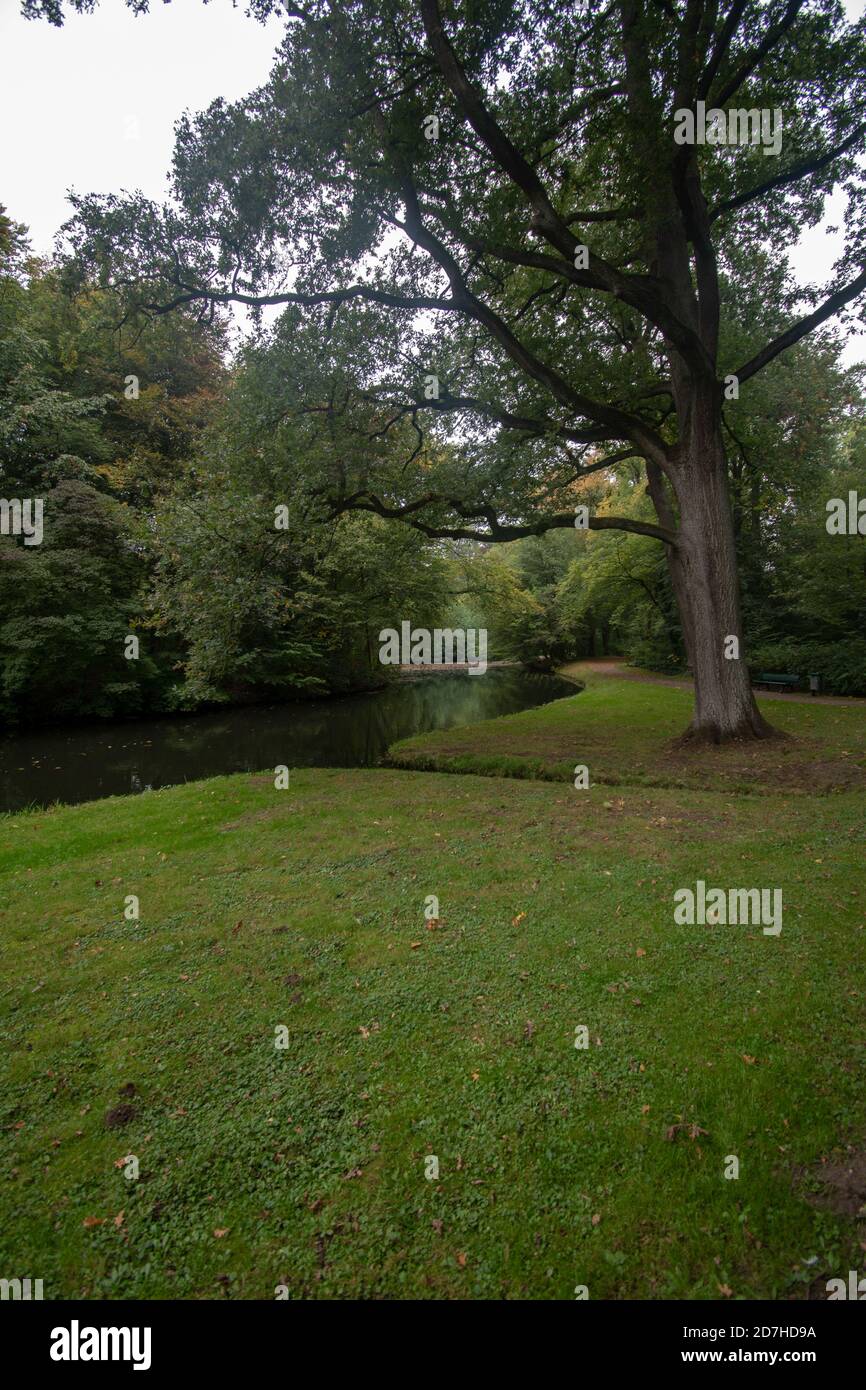 Vertical shot of a lake surrounded by greenery in a Bremen park ...