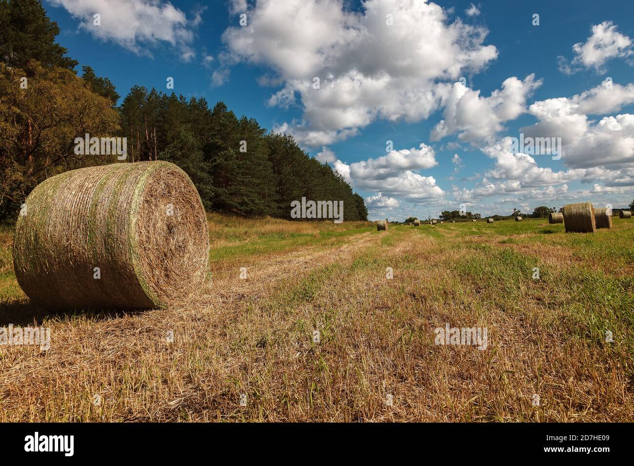 Hay Rollers High Resolution Stock Photography and Images - Alamy