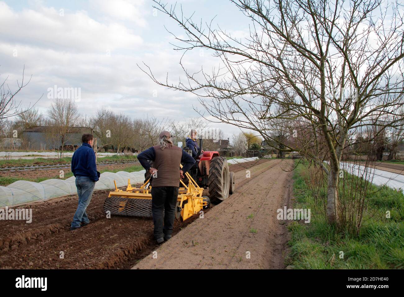 Passage of an artisanal machine for the preparation of the ground for ...