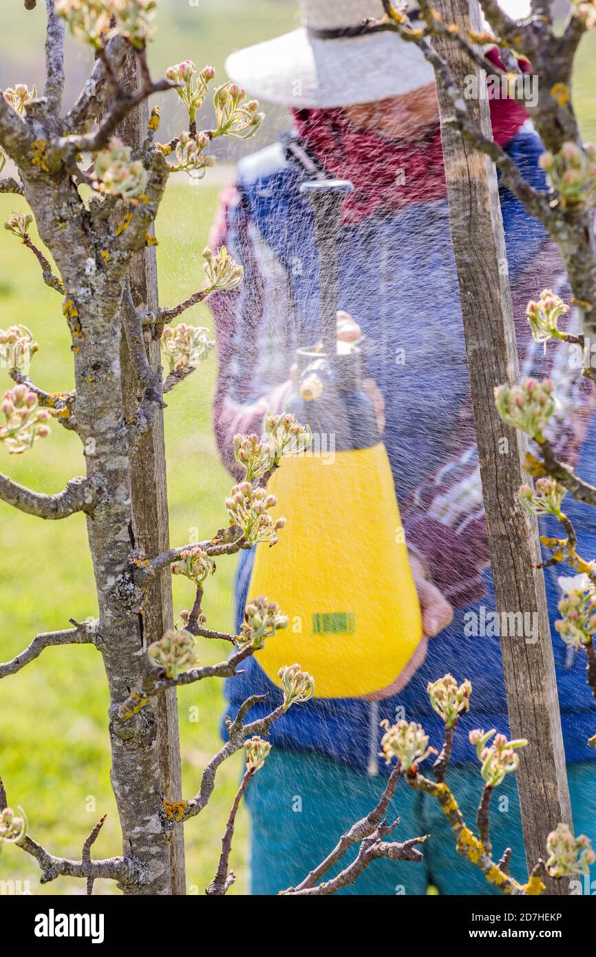 Applying Insecticides High Resolution Stock Photography and Images - Alamy