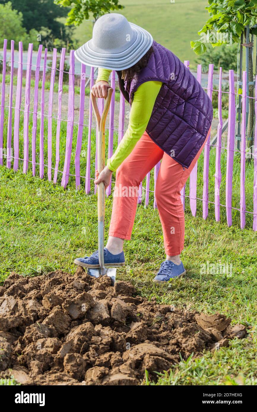 Woman digging up a patch of land before setting up a vegetable patch ...