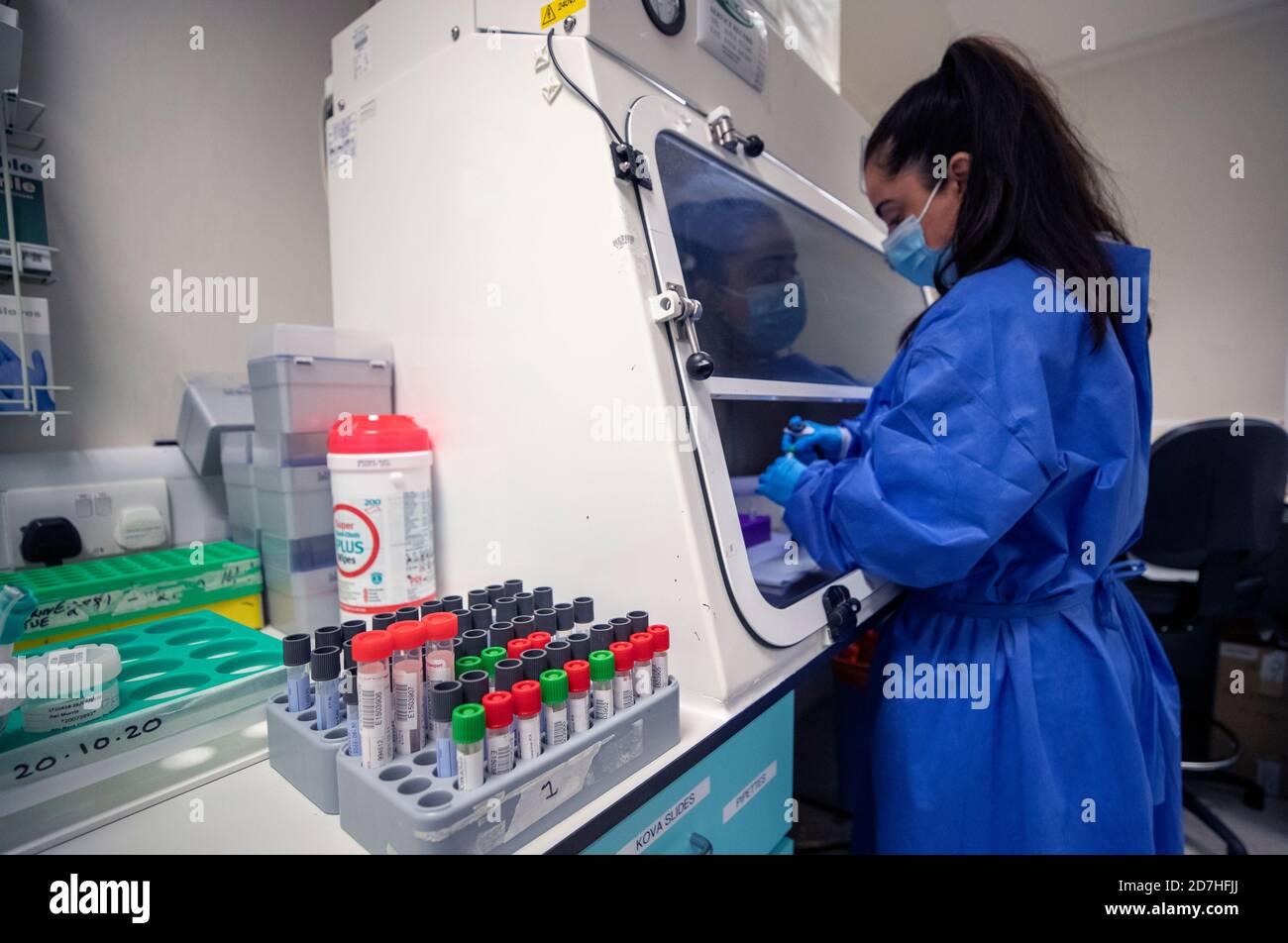 Rachel Miranda, a medical laboratory assistant (MLA), prepares Covid-19 ...