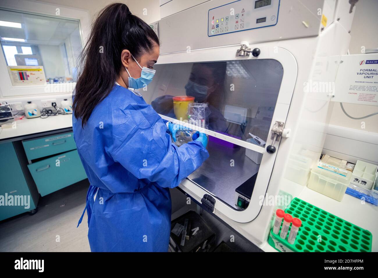 Rachel Miranda, a medical laboratory assistant (MLA), prepares Covid-19 ...