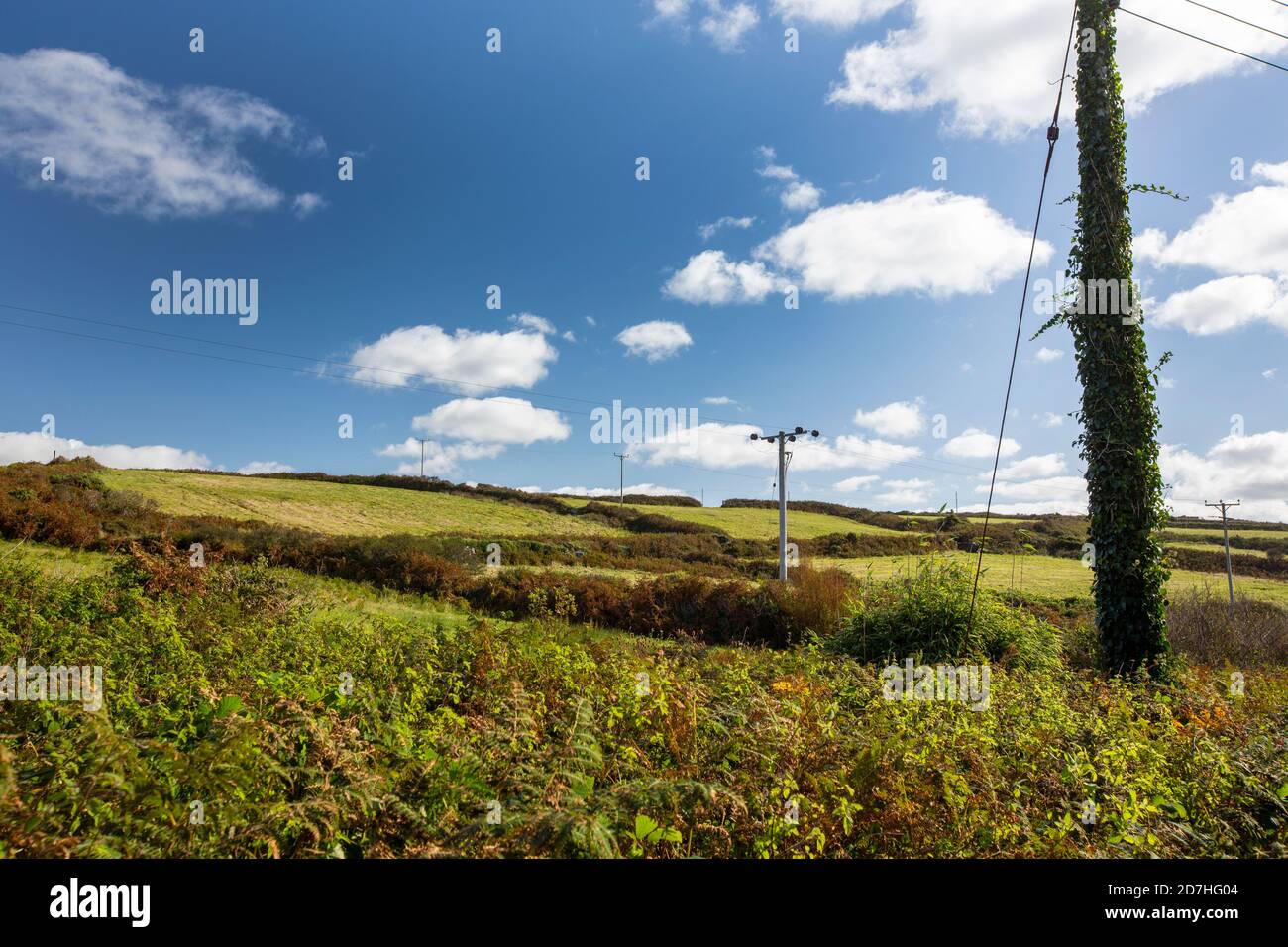 Small Cornish fields at St Just, UK Stock Photo - Alamy