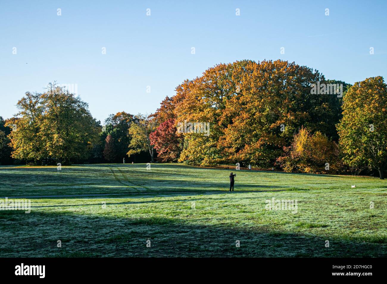 Wimbledon common landscape trees hi-res stock photography and images ...